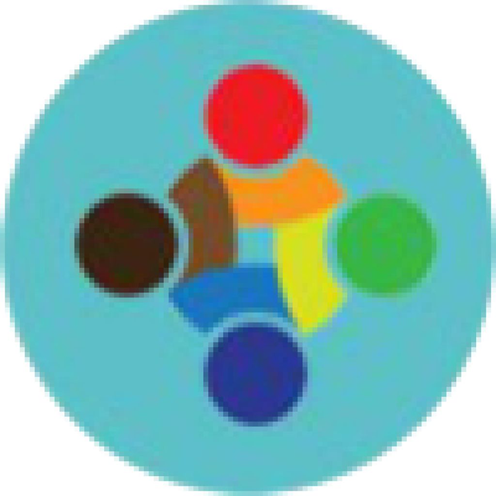 Our Values - RIMT University